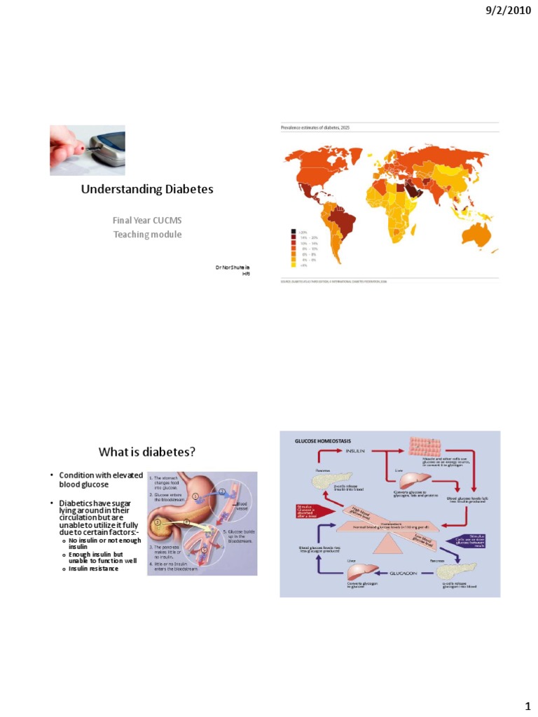 Understanding Diabetes Pdf Diabetes Mellitus Diabetes Mellitus Type 2
