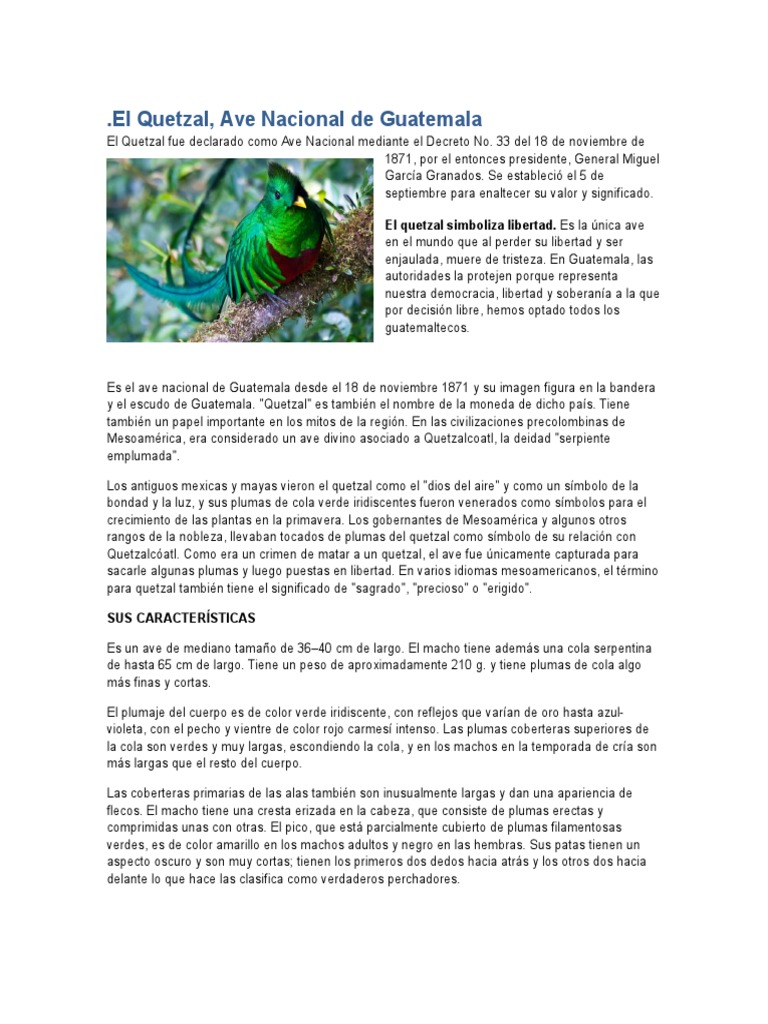 Historia y significado del quetzal | PDF | Aves | Tetrápodos