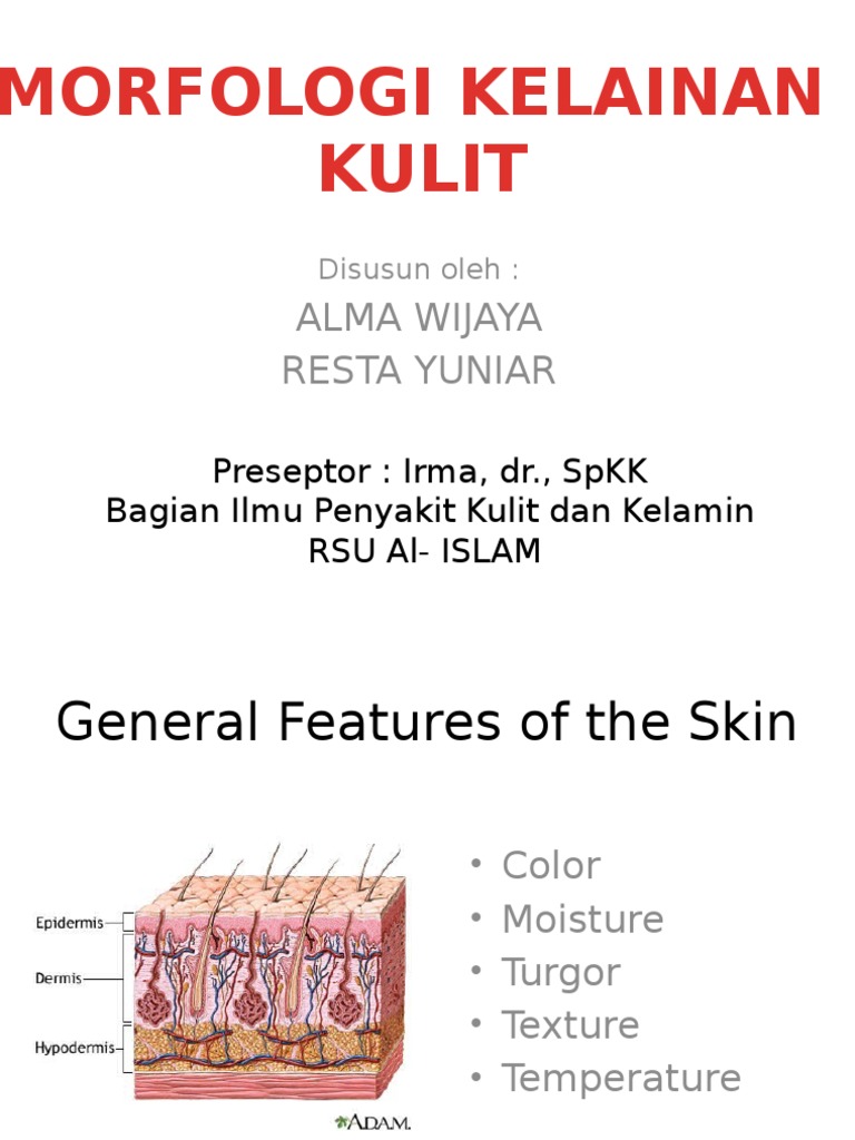 CSS Morfologi Kelainan Kulit | PDF