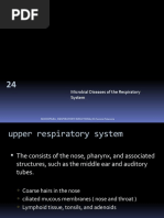 Bacterial ID Flowchart | PDF | Streptococcus | Staphylococcus