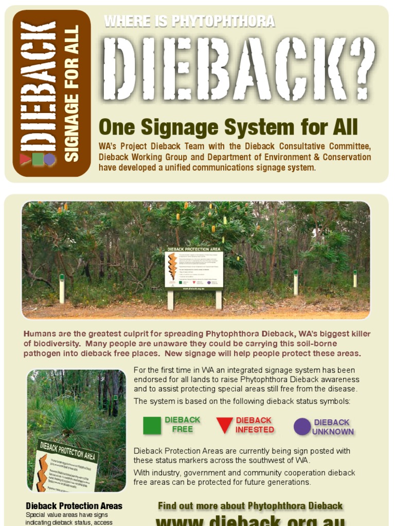 WA Dieback Signs Pamphlet 8 | PDF | Systems Ecology | Plants