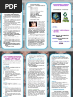 Multiflora: Uso y Dosis en Niños y Adultos | PDF | Síndrome del ...