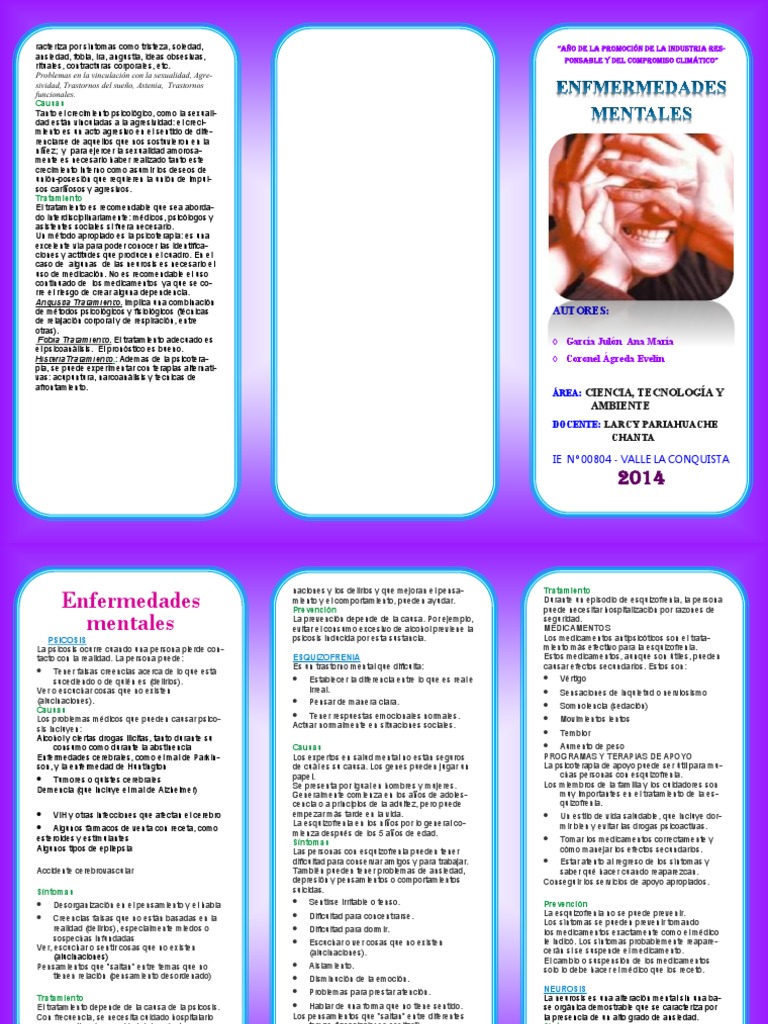 Tríptico Enfermedades Mentales | PDF | Esquizofrenia | Psicosis