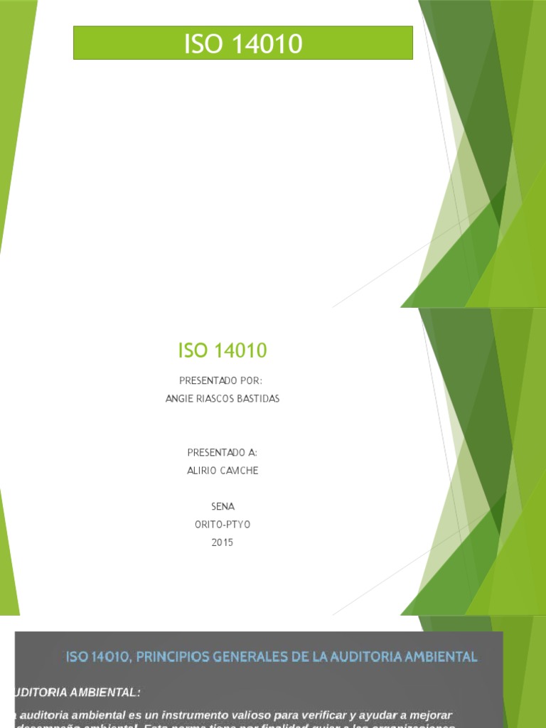 Iso 14010 | PDF