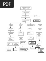 Pathway Infeksi Saluran Kemih | PDF