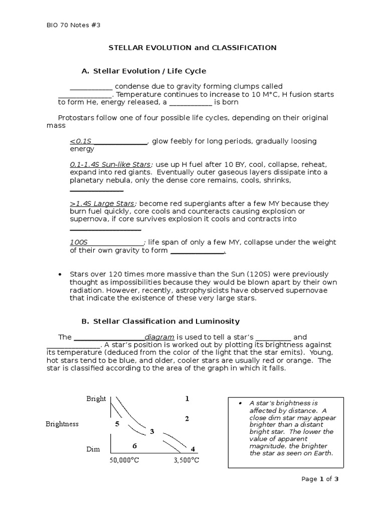 Stellar Evolution | PDF | Stars | Black Hole