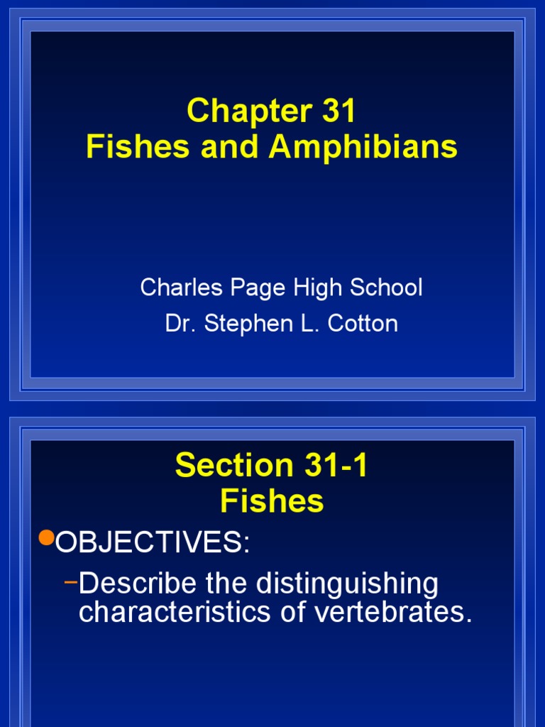 Fishes and Amphibians: Key Differences | PDF | Amphibian | Atrium (Heart)