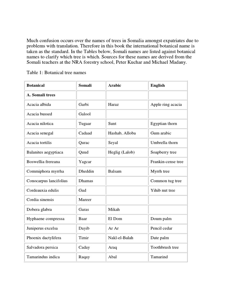SOmali Trees Names in Arabic | PDF | Trees | Plant Life Form