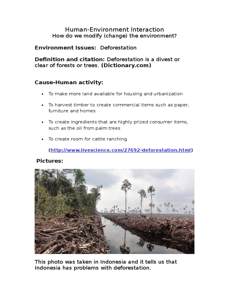 Human-Environment Interaction: Environment Issues: Deforestation ...