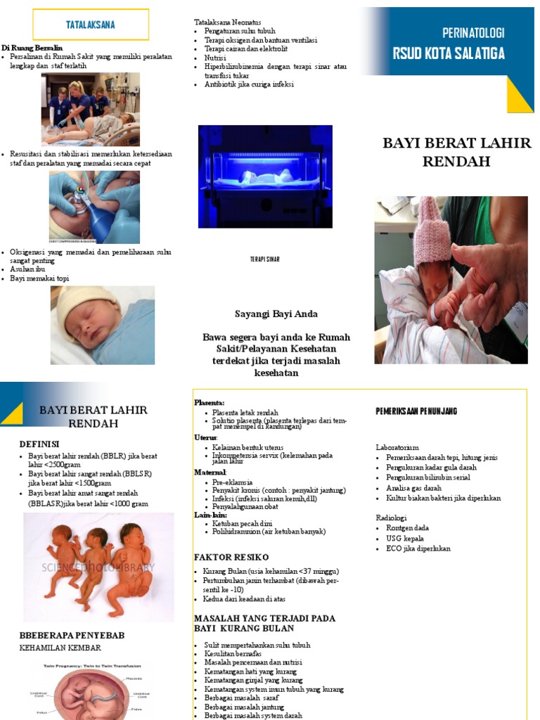 Leaflet BBLR | PDF