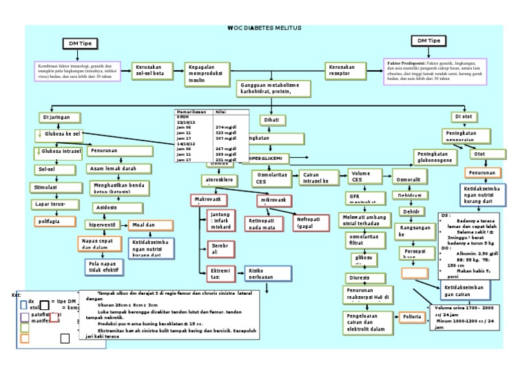 Woc Diabetes Melitus | PDF | Kesehatan Holistik | Sains & Matematika