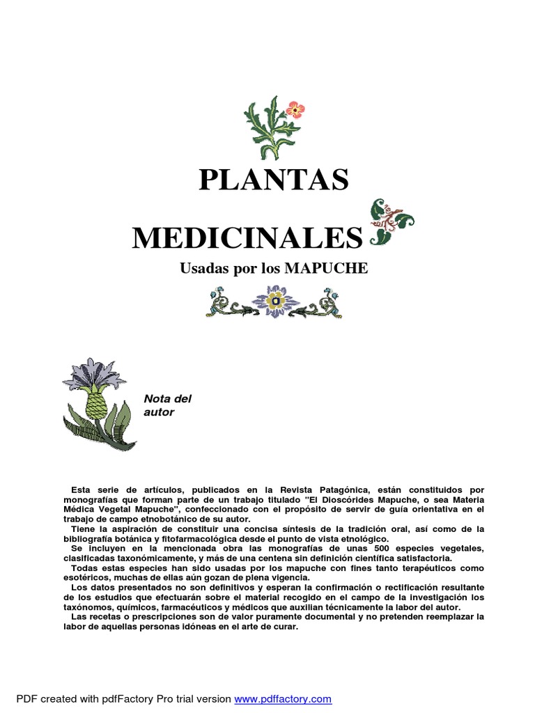 Plantas Medicinales Mapuche: Foye | PDF