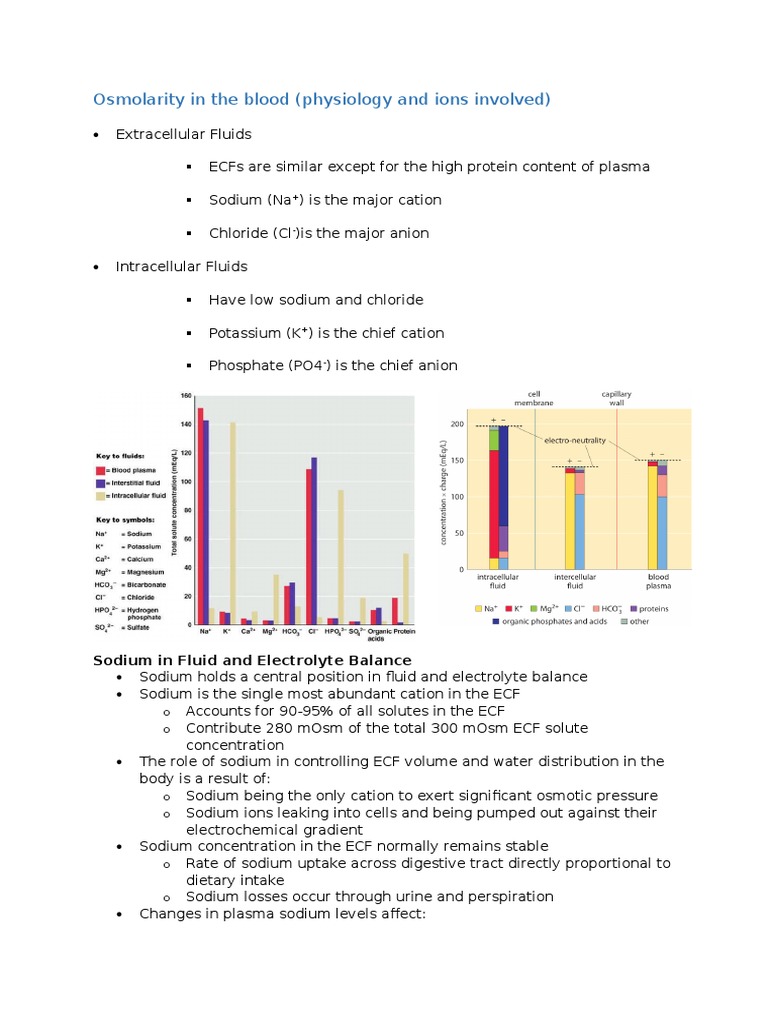 Osmolarity in the Blood | Sodium | Chemistry