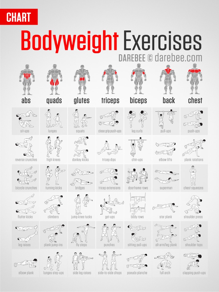 Bodyweight Exercises Chart | PDF
