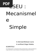 Lectia 5.2 Scripetele | PDF