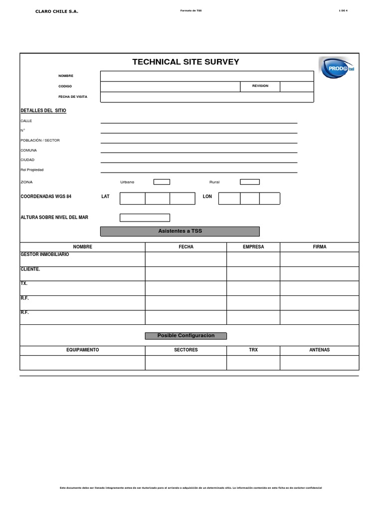 Formato de TSS | PDF