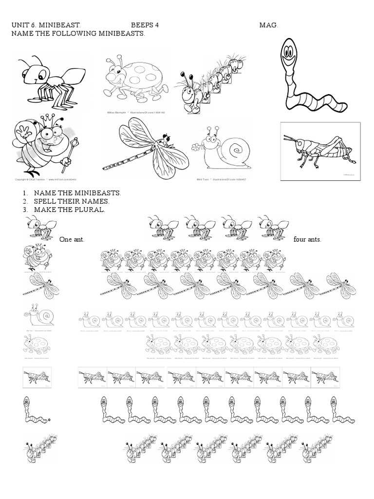 Minibeasts Worksheet Beep 4 | PDF