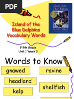 Red Kayak Test Study | PDF