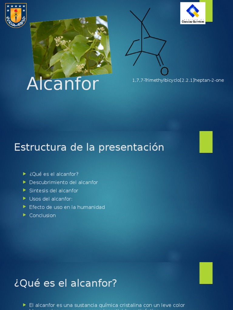 Alcanfor | PDF | Productos quimicos | Bienestar