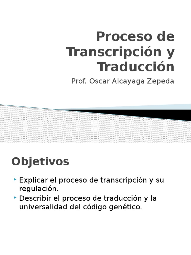 Proceso de Transcripción y Traducción | PDF | Traducción (biología) | Rna