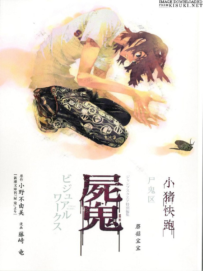 Shiki Visual Works | PDF