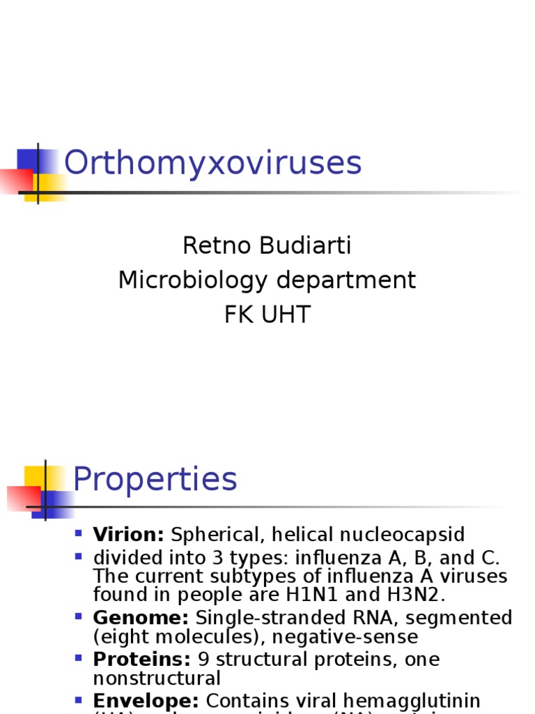 Orthomyxoviruses: Retno Budiarti Microbiology Department FK Uht | PDF ...