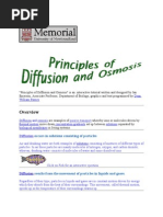 Sponge Absorbency Lab Analysis | PDF | Sponge | Mass