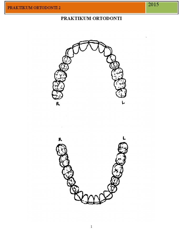 Ortho Template Desain RA N RB