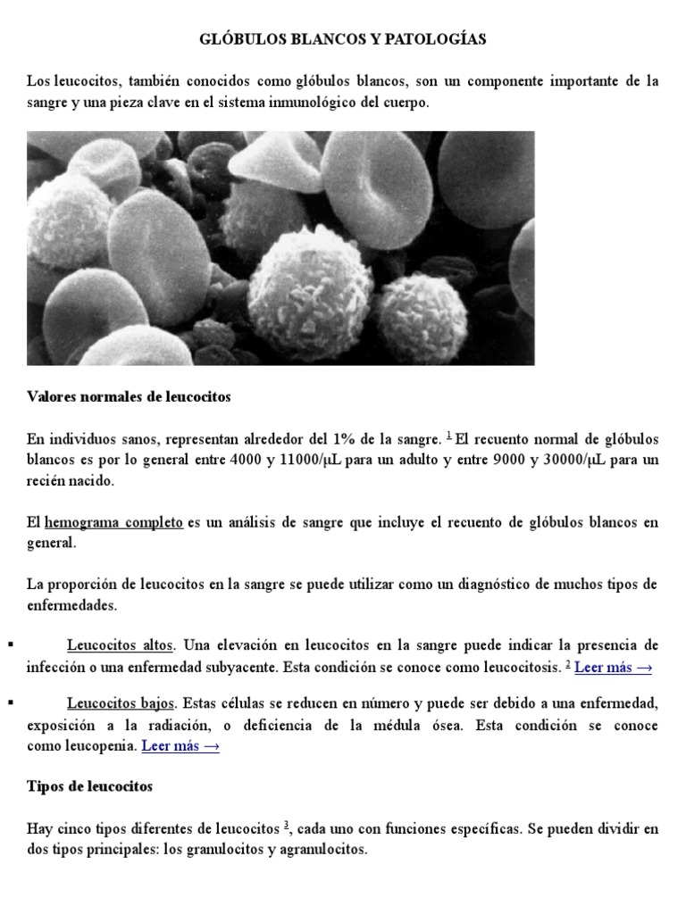 Glóbulos Blancos y Patologías | PDF | Leucocito | Sangre