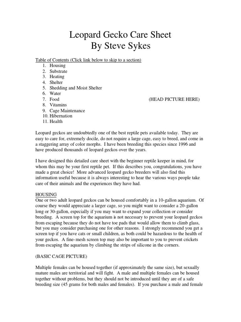 Beginner's Leopard Gecko Care Guide | PDF