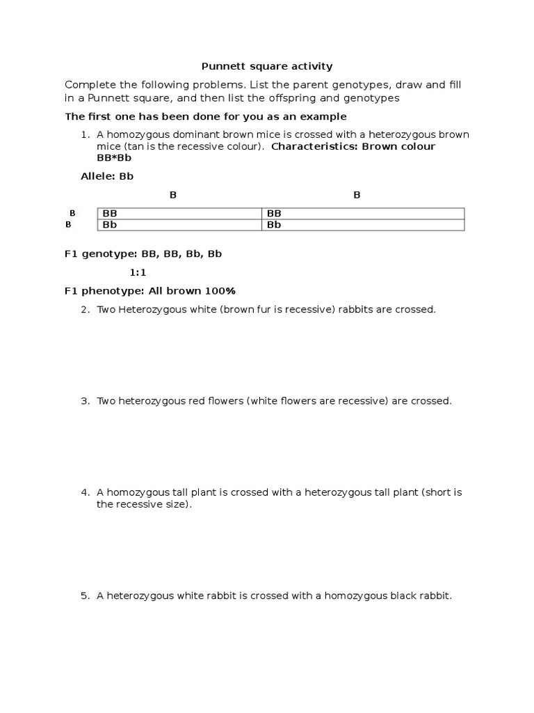 Punnett Square Activity | PDF | Language Arts & Discipline