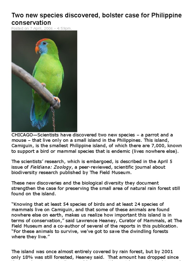 New Species Found: Camiguin's Unique Wildlife | PDF | Avian Influenza ...
