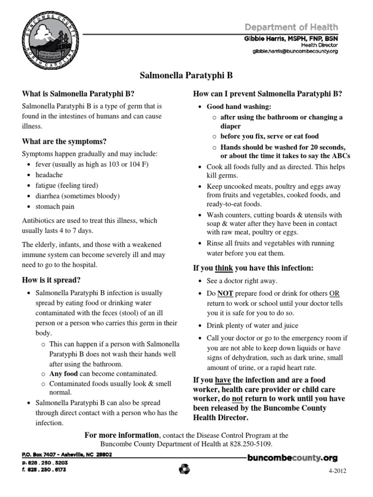 SalmonellaFactsheet ENG Final | PDF