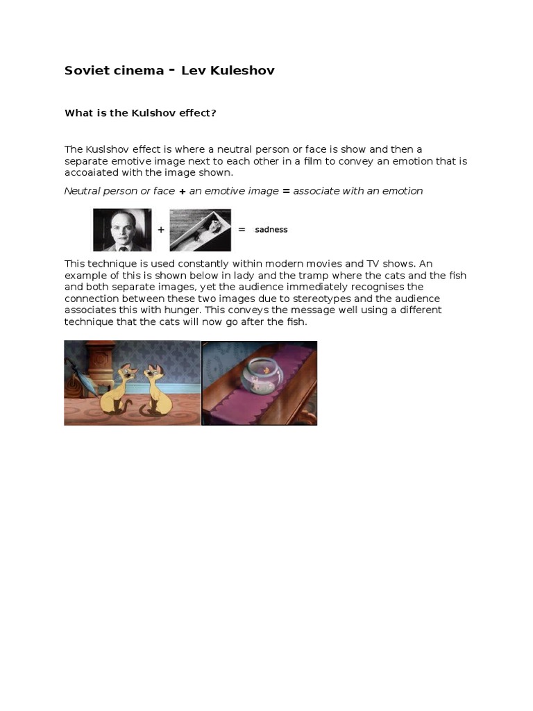 Understanding the Kuleshov Effect | PDF | Philosophy