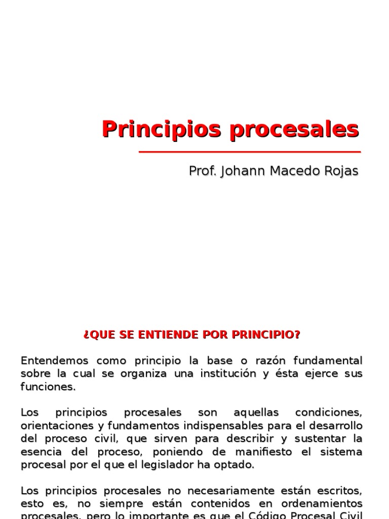 Principios procesales