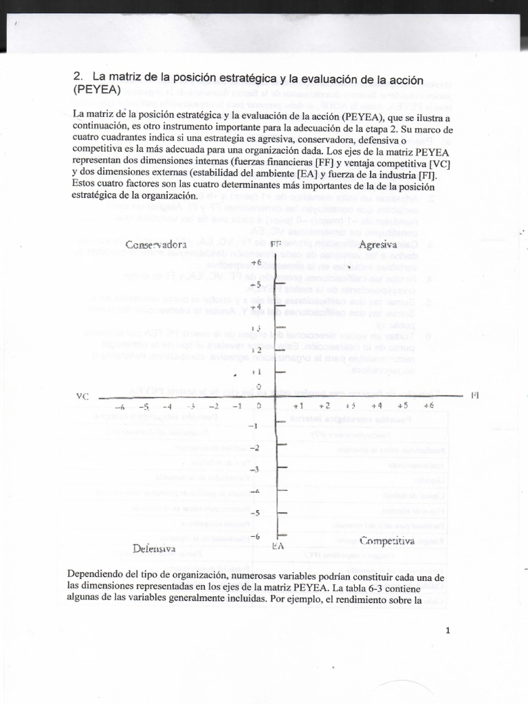 Matriz Peyea, GE, BCG | PDF | Competitividad | Instituciones Economicas