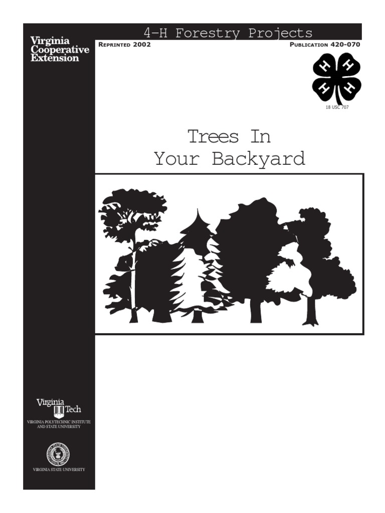 Trees in Your Backyard: 4-H Forestry Projects | PDF | Nut (Fruit) | Trees