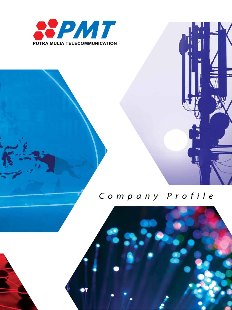 PMT Company Profile | PDF | Fiber To The X | 3 G