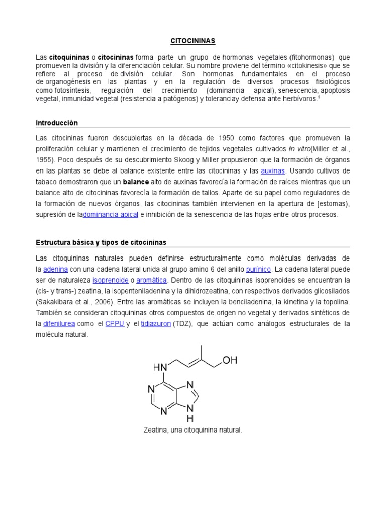 Citocininas: Hormonas Vegetales Clave | PDF | Botánica | Fisiología de ...