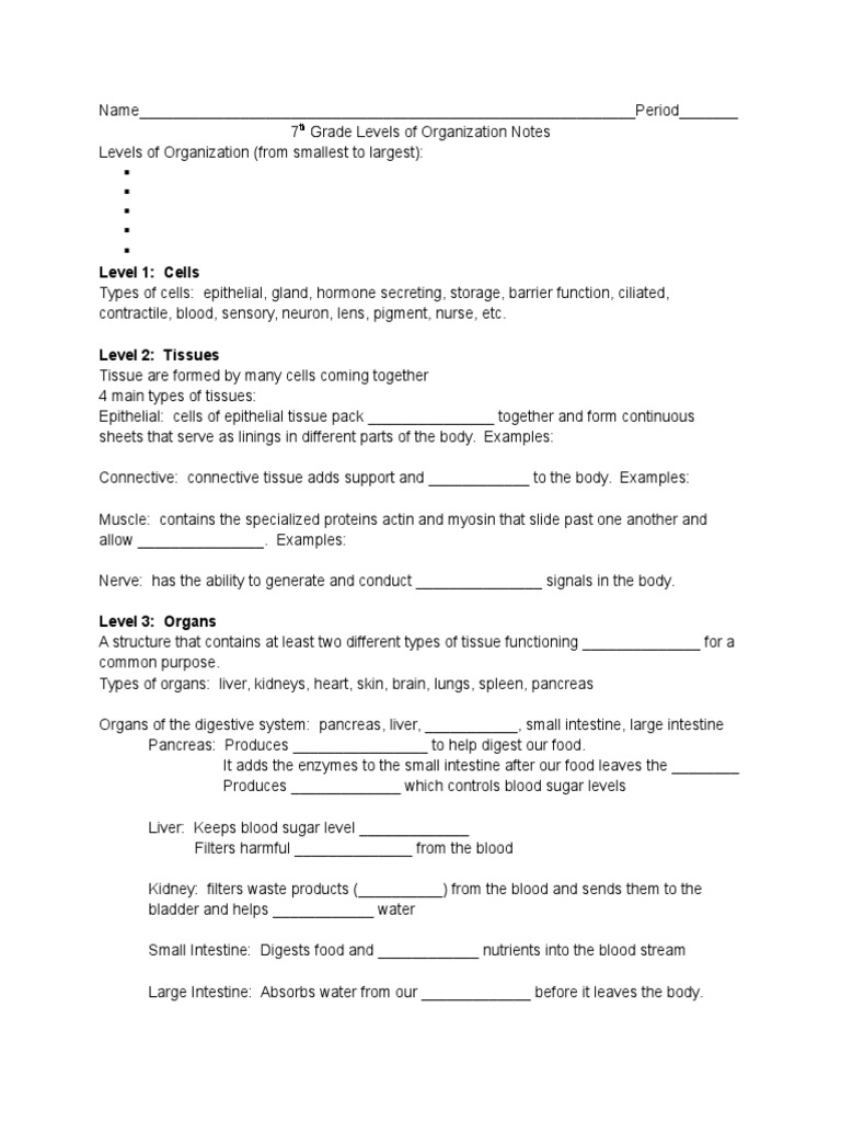 Five Levels of Body Organization | PDF