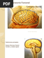 Snell. Neuroanatomía Clínica - 6ta Edición | PDF