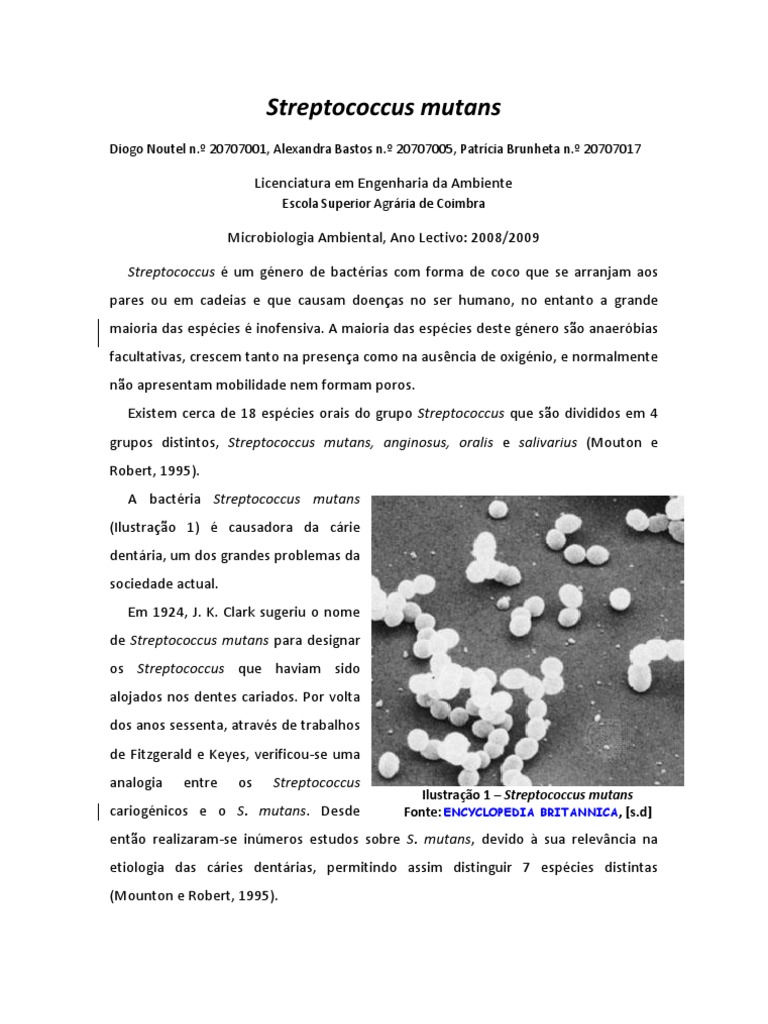 Streptococcus mutans e Cáries Dentárias | PDF | Dente | Estreptococos