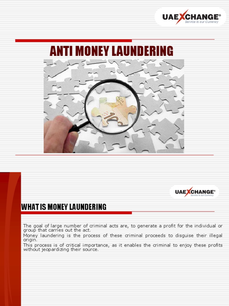 Anti Money Laundring | PDF | Money Laundering | Financial Action Task ...