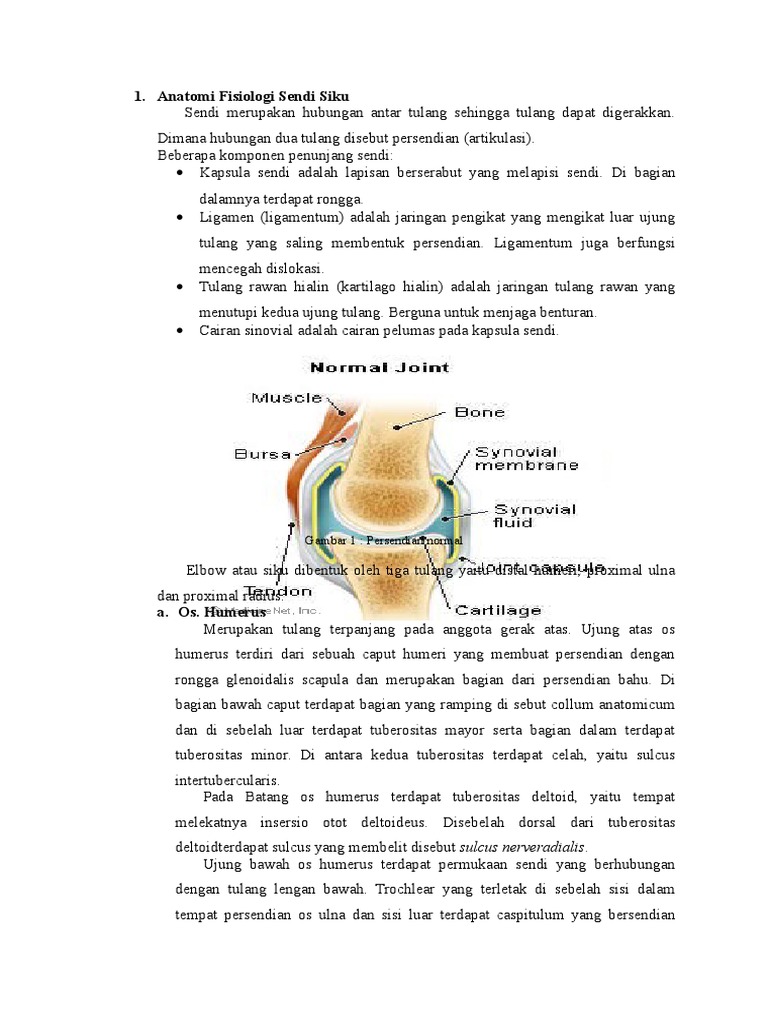 Anatomi dan Fisiologi Sendi Siku | PDF