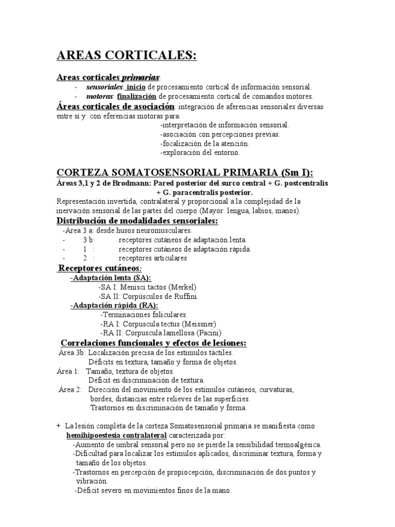 Areas Corticales | PDF | Corteza cerebral | Sistema somatosensorial