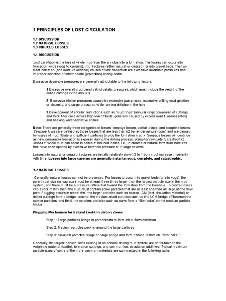 Principles of Lost Circulation | PDF | Casing (Borehole) | Geotechnical Engineering