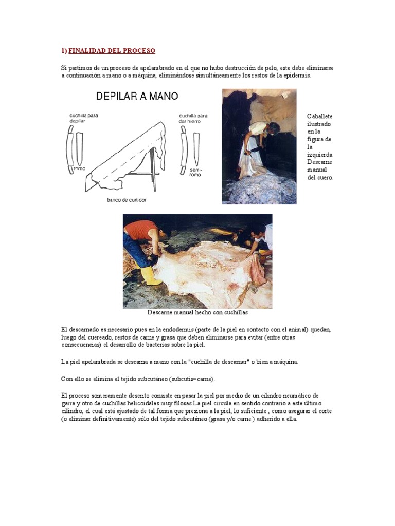 DESCARNADO | PDF | Piel | Carne