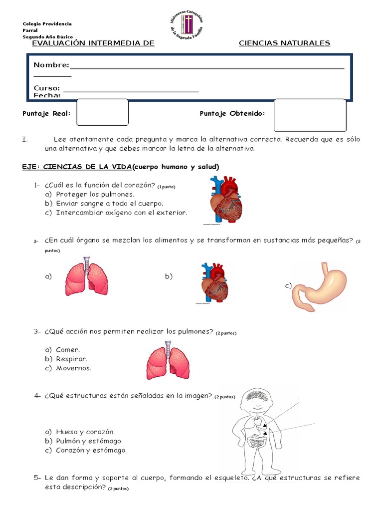Prueba Intermedia de Ciencias Naturales Segundo Basico | PDF ...