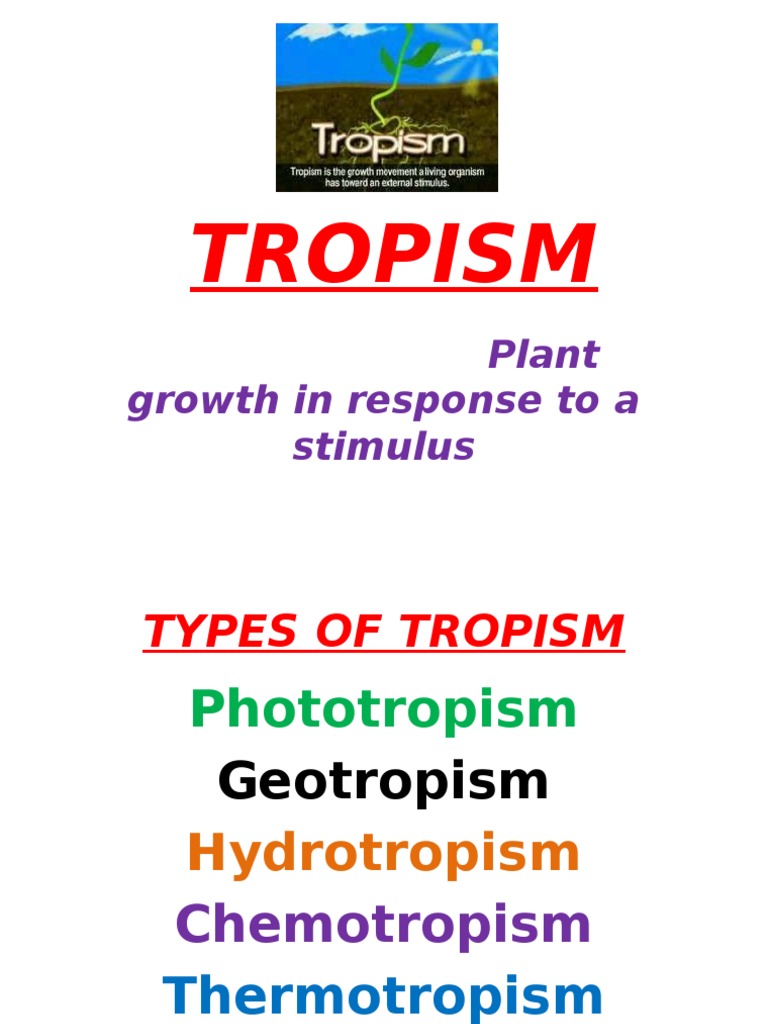 Types of Plant Tropism Explained | PDF