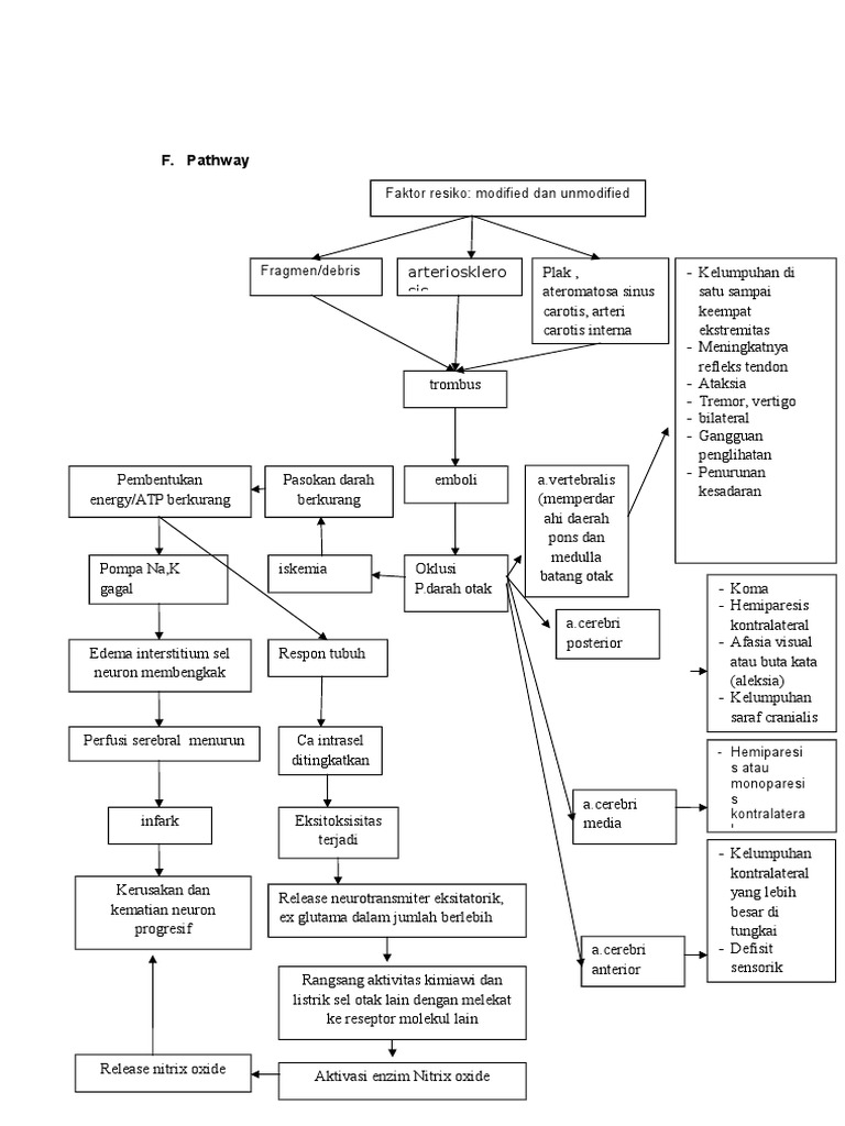 Patofisiologi Stroke Iskemik | PDF